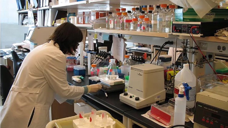 Introduction to Biomedical Engineering - Biomaterials – CourseVania