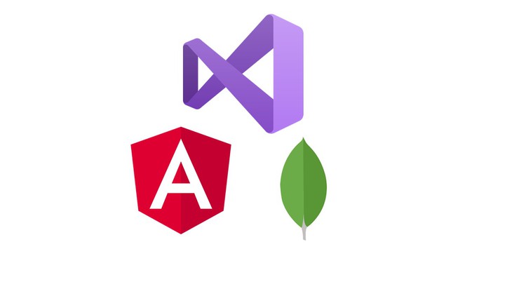 Create Web App With Angular 12 Net Core Web Api And Mongo Db 