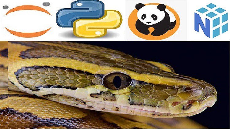 Python Bootcamp For Data Science 2021 Numpy Pandas And Seaborn
