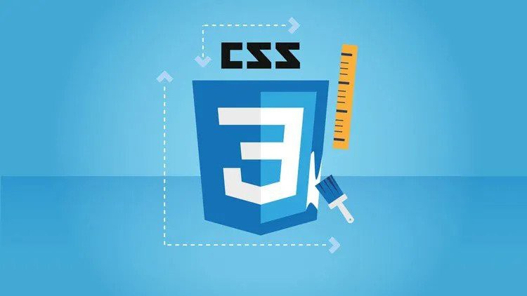 CSS Flexbox | Basic to Advanced with Responsive Project – CourseVania