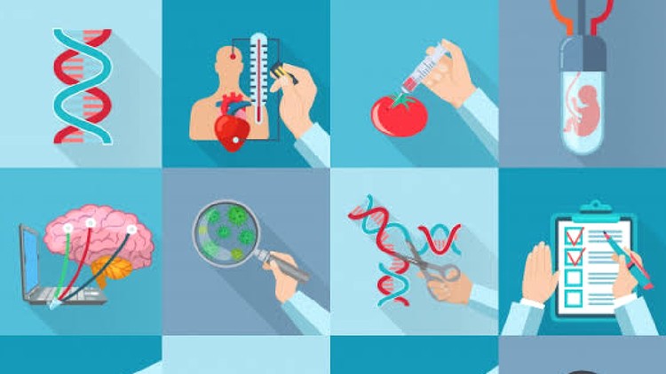 Basic Concept of Genetic Engineering & biotechnology – CourseVania