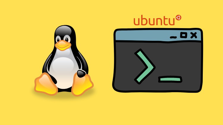 Linux Command Line: Utilities for Beginners [Practice Test]