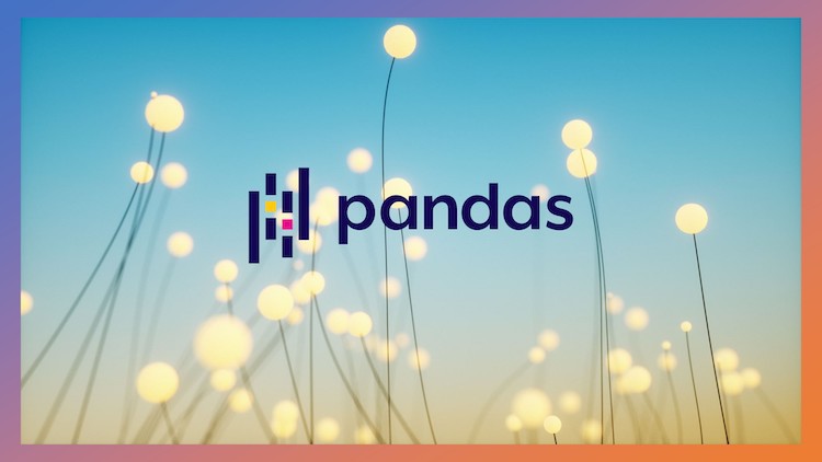 Essential Guide to Python Pandas – CourseVania
